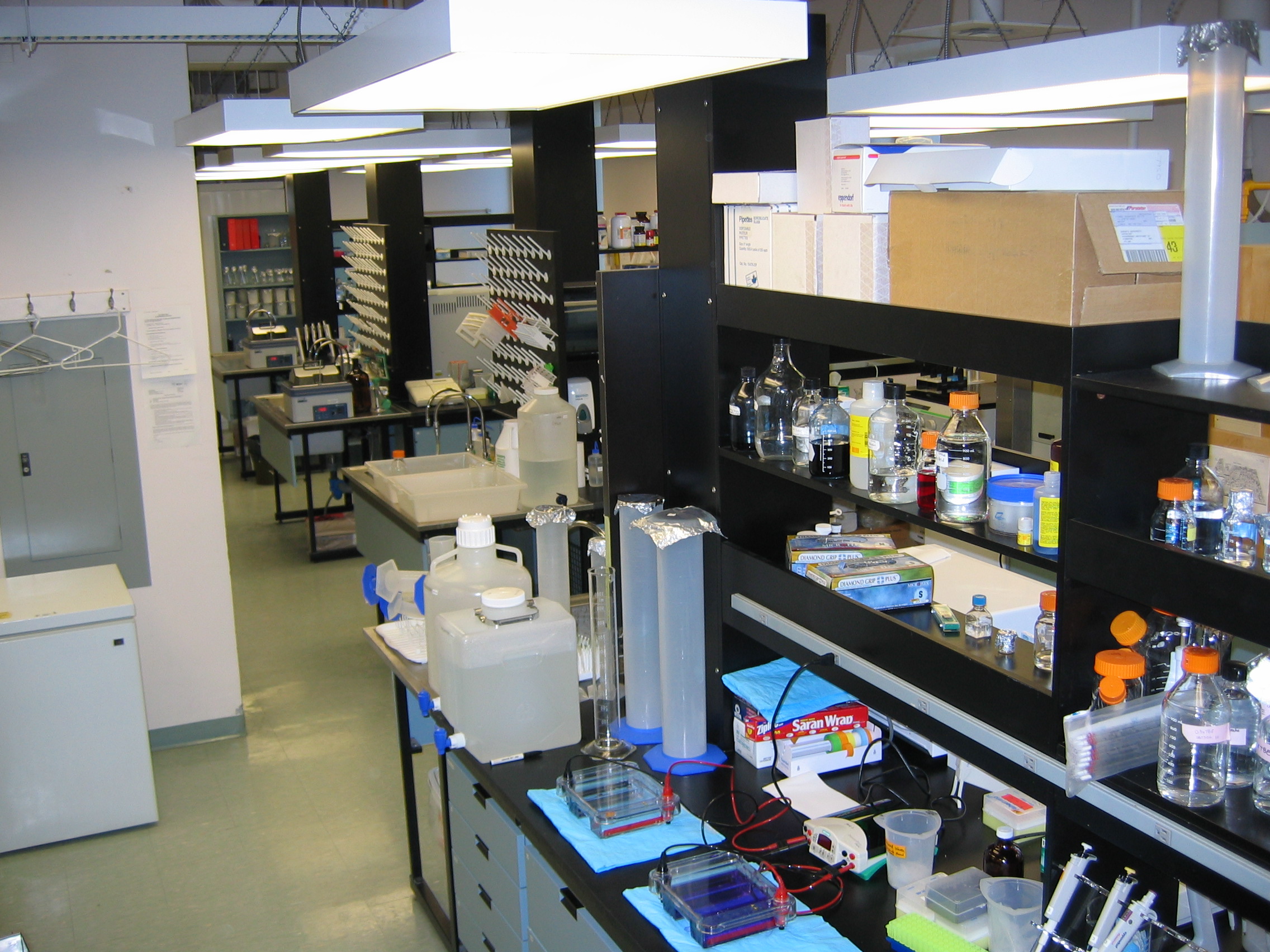 Yang Laboratory